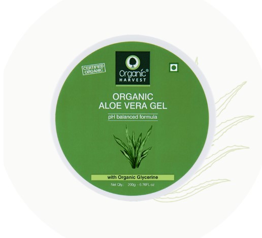 Top 10 Ways On How To Use Aloe Vera Gel On The Face At Night I Popxo